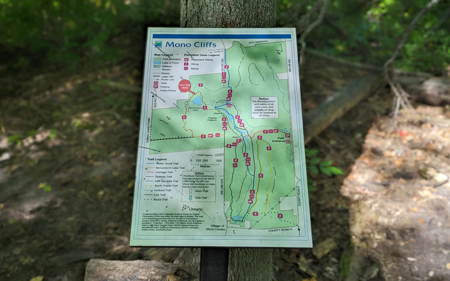 Mono Cliffs Provincial Park Trails Guide + The BEST Hiking Route » I've ...