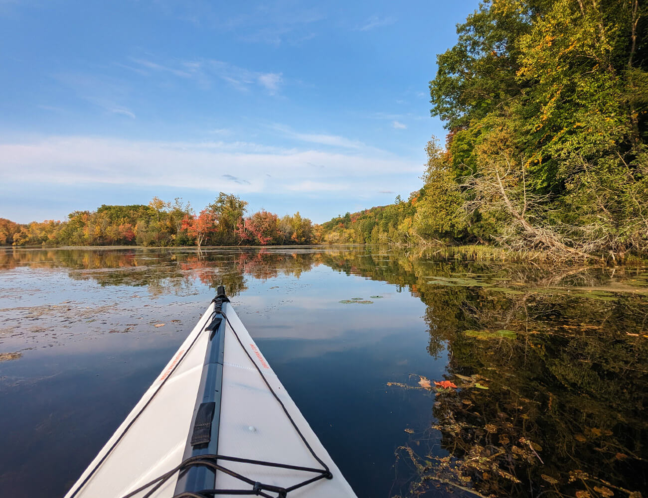 Peterborough Kayaking Guide: 9 Top Spots to Paddle in The Kawarthas » I ...