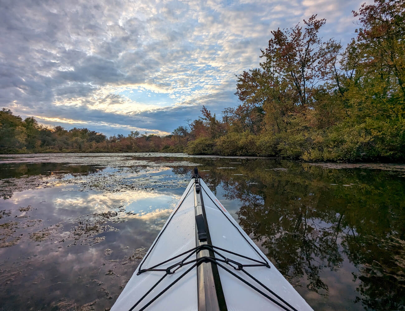 Peterborough Kayaking Guide: 9 Top Spots to Paddle in The Kawarthas » I ...