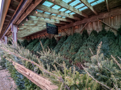 7 Christmas Tree Farms Near Toronto To Visit This Holiday Season » I've ...